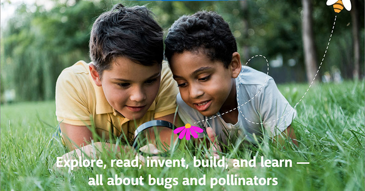 Bug Buddies: A Book-Based STEAM Adventure! | Start with a Book